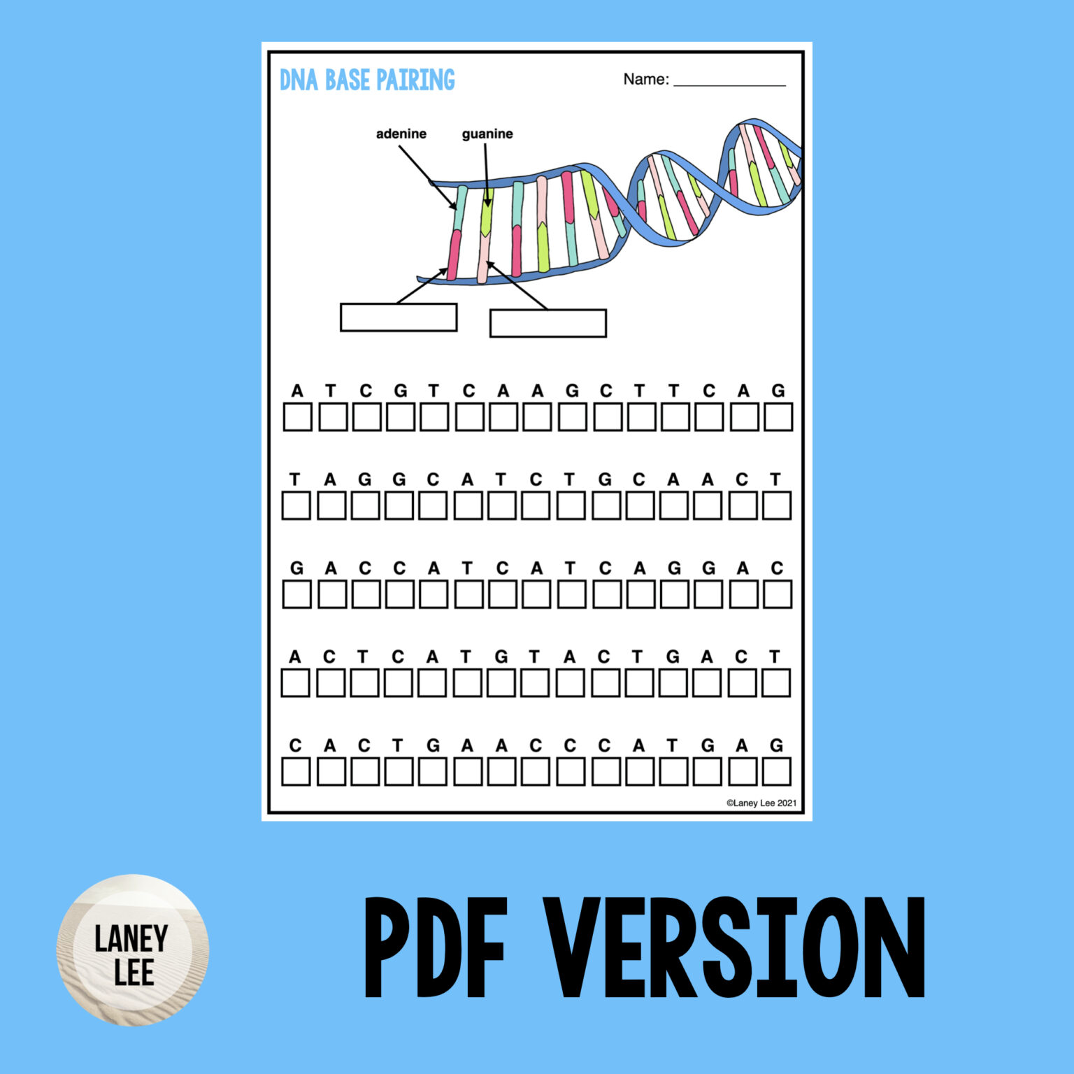DNA Base Pairing Worksheet Laney Lee DNA Base Pairing Worksheet Laney Lee